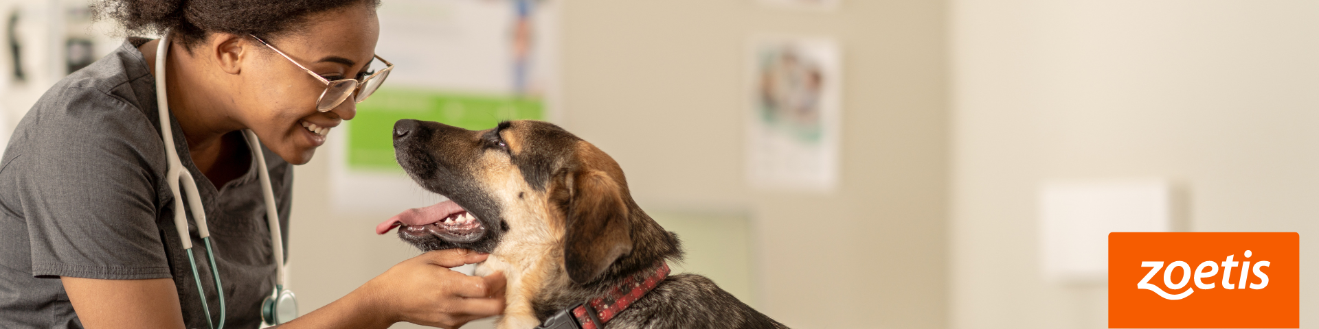 Zoetis Deutschland Bewerbung: 5 Vorstellungsgespräche | kununu